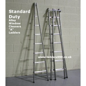 Single Ladders